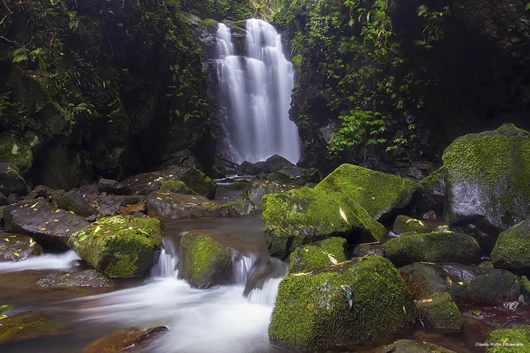 Hidden Gems on the Gold Coast – Must-Visit Spots | Elite Holiday Homes